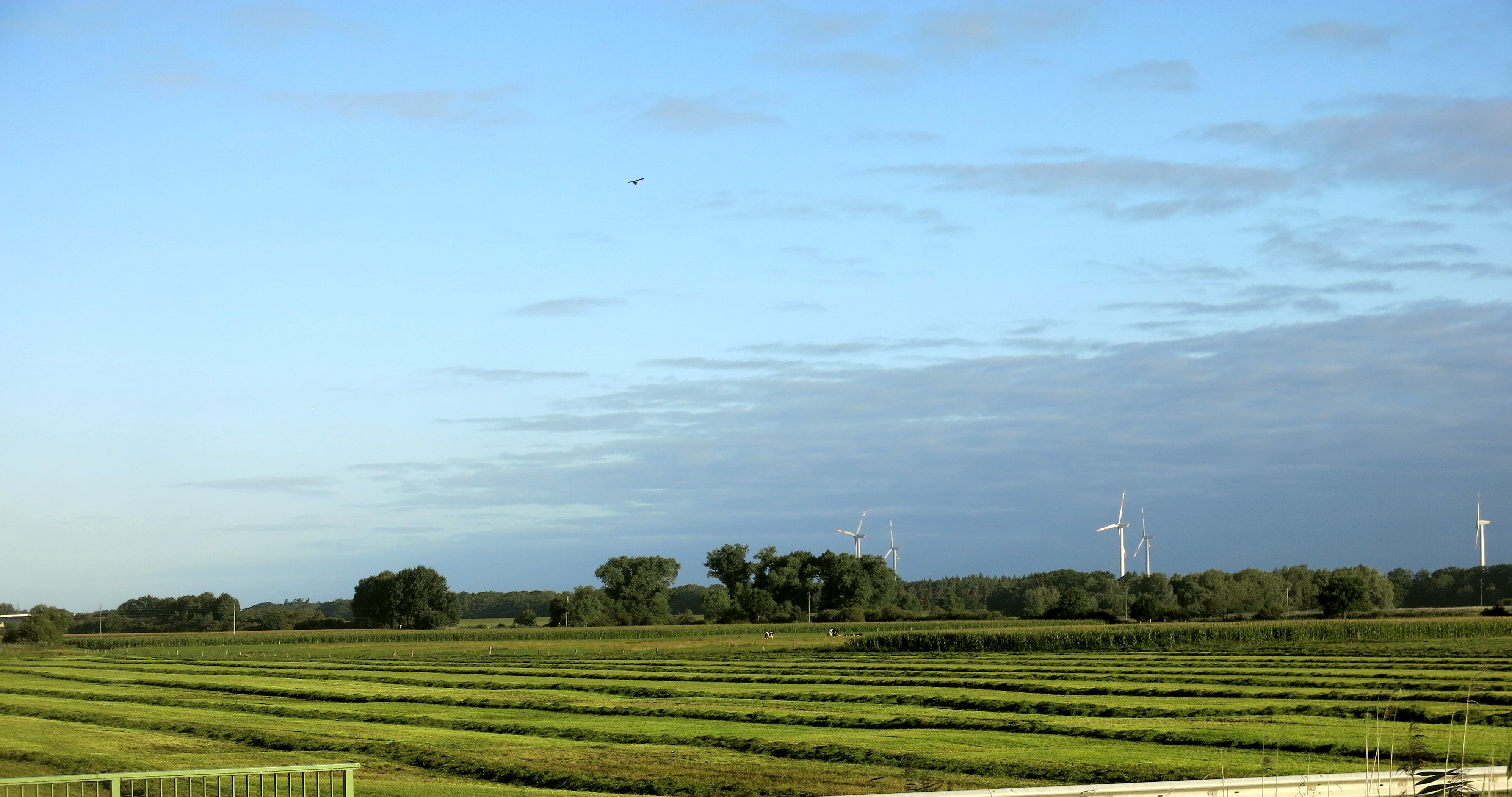 spätsommer – Gemeinde Echem